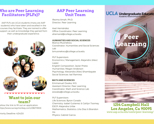 Peer Learning – Academic Advancement Program