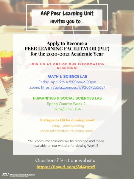 Peer Learning – Academic Advancement Program